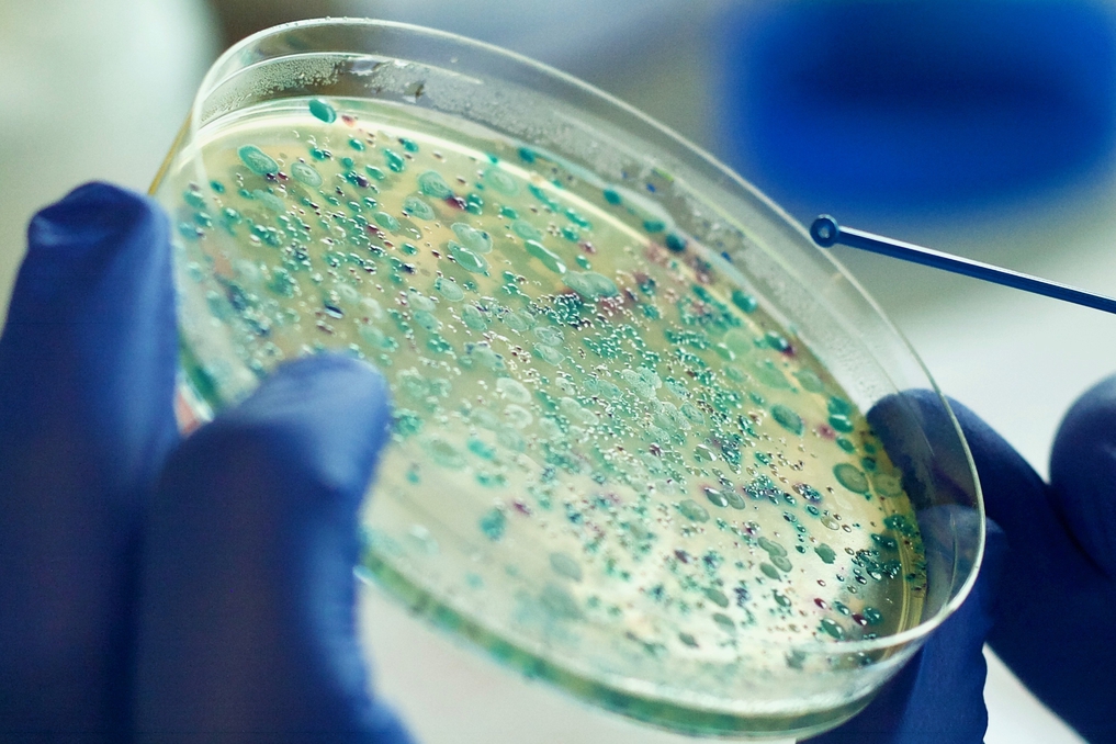 IMG_1656-halfsize – Fowler Lab